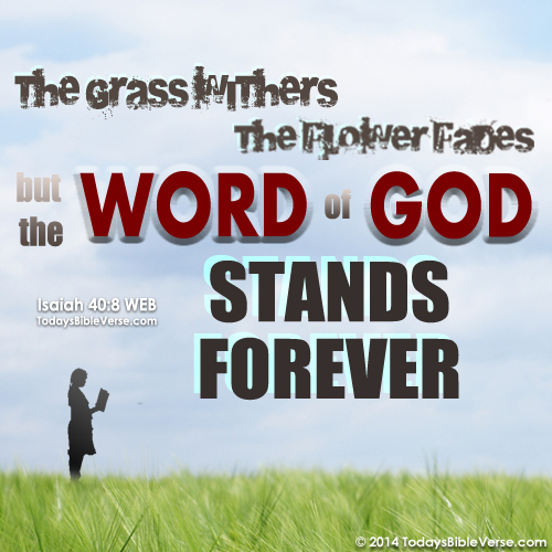 Word of God Stands Forever | Todays Bible Verse Word of God Stands Forever | Todays Bible Verse